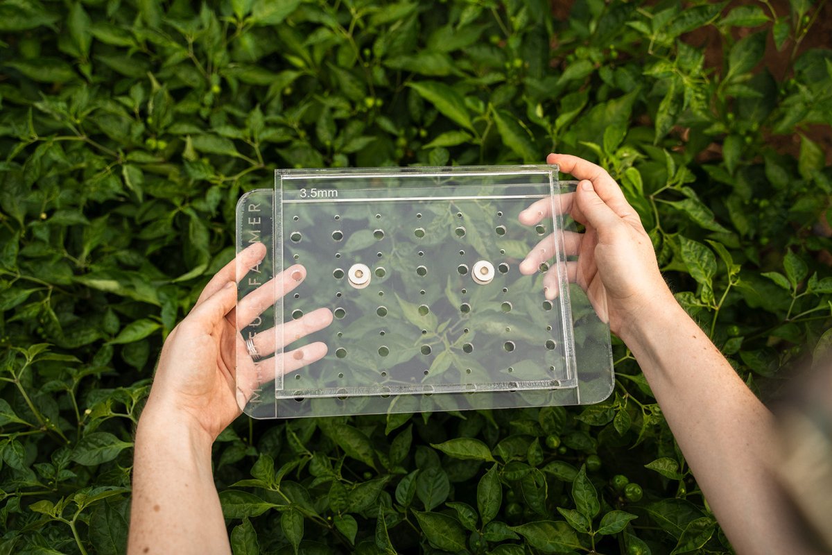 Soil Block Drop Seeder - Standing 35 - Complete Set – Mindful Farmer